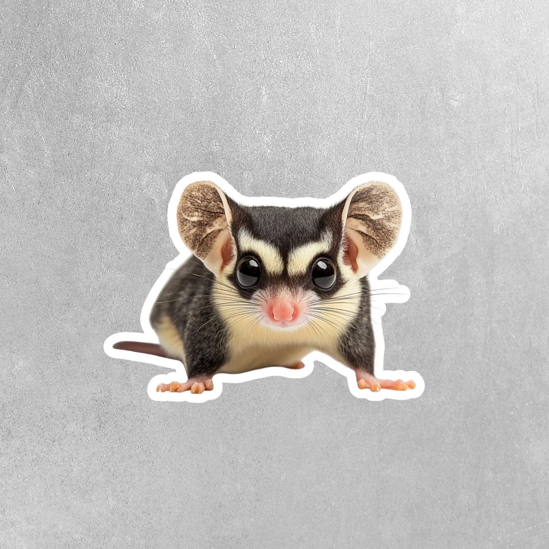 Sugar Glider Sticker | Cute Sugar Glider Decal for Animal Lovers ...