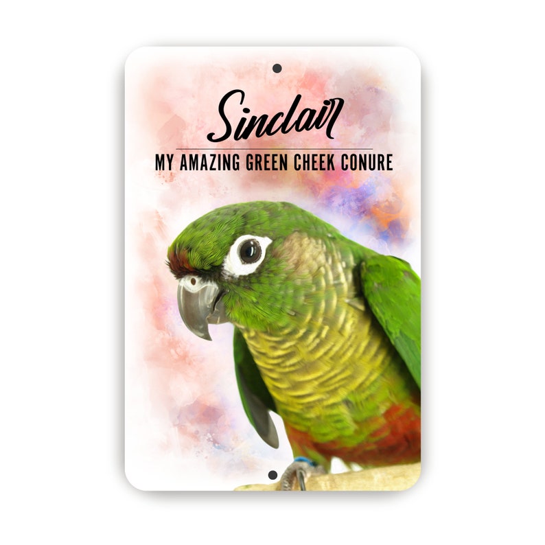 Personalized Green Cheek Conure Sign | Personalized Name Green Cheek ...