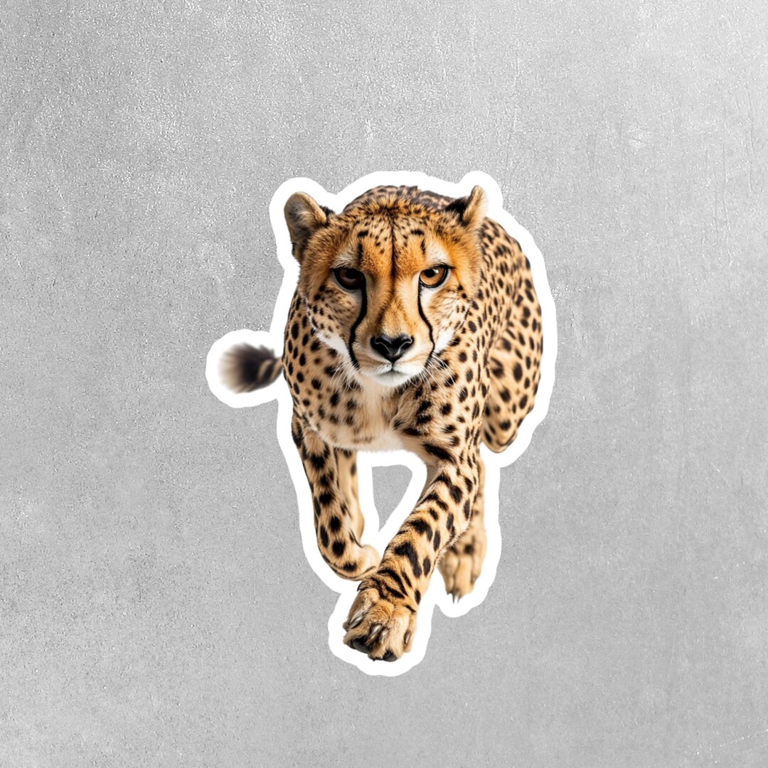 Cheetah Sticker - Cheetah Decal - Running Cheetah Sticker - Etsy