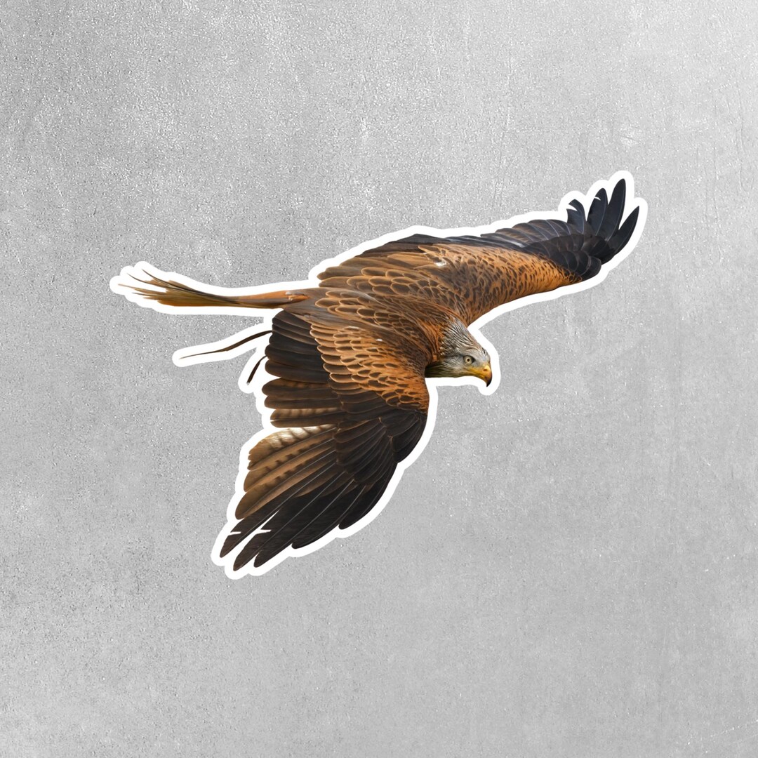 Red Kite Sticker | Red Kite Bird Decal | Kite Stickers - Etsy