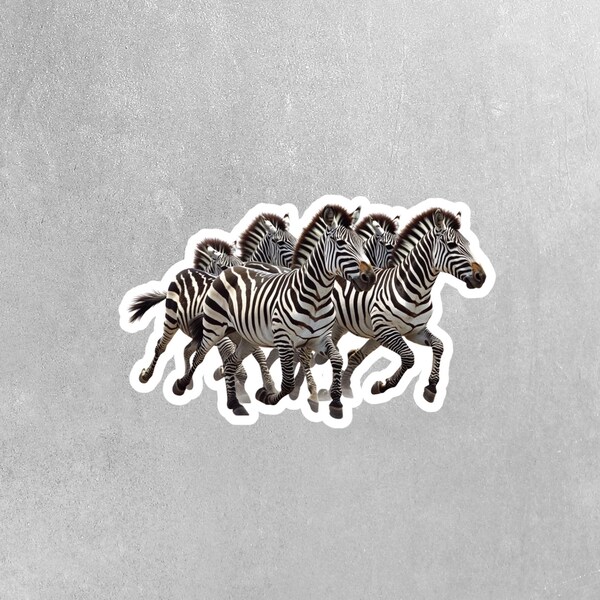 Zebra Decal - Etsy
