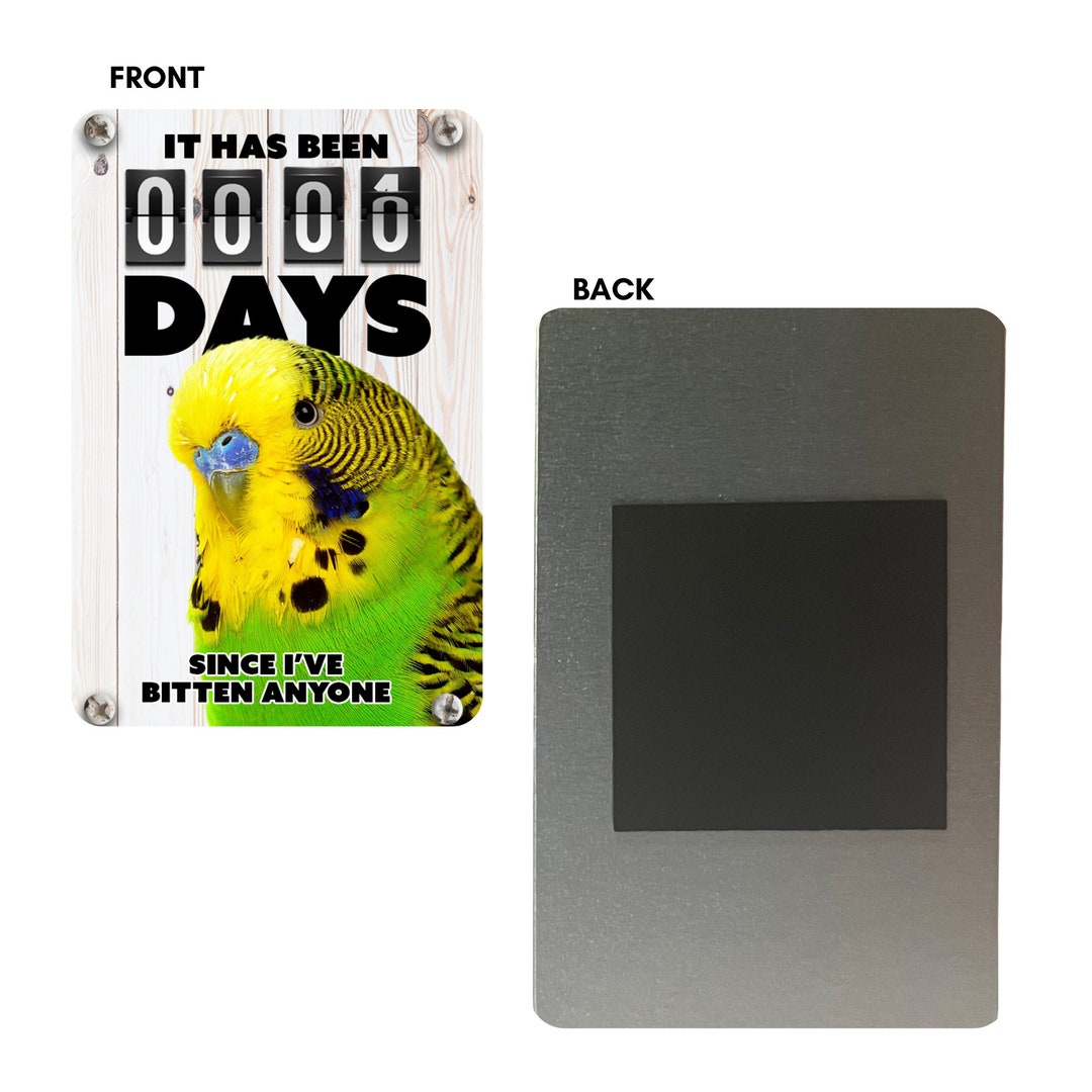 Green Parakeet Refrigerator Magnet Green Parakeet Magnet Green Budgie ...