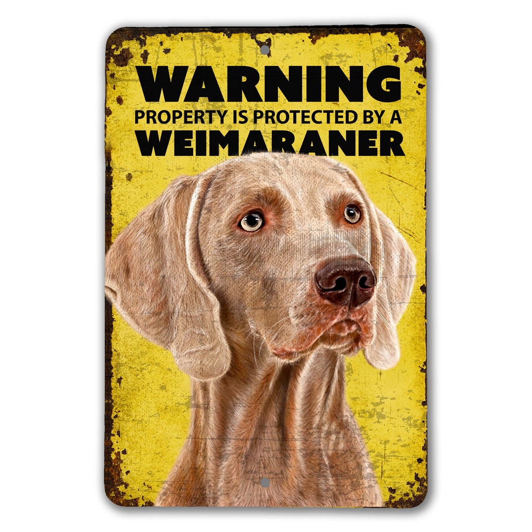Warning Weimaraner Sign | Dog Warning Sign | Weimaraner Sign - Etsy