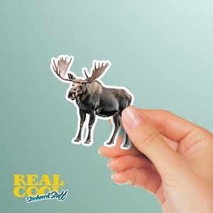 Moose Sticker - Cute Moose Vinyl Decal for Home Decor, Laptop, Water ...