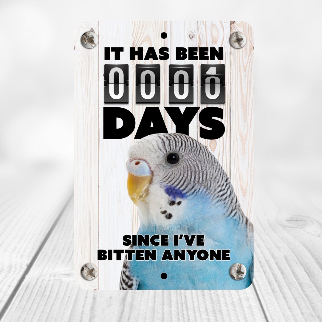 Parakeet Bitten Sign | Blue Parakeet Sign | Rustic Parakeet Sign - Etsy