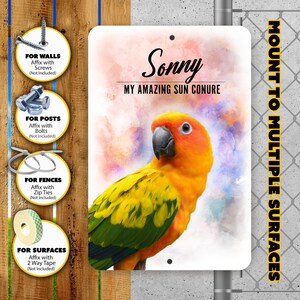 Personalized Sun Conure Sign | Personalized Name Sun Conure Sign - Etsy