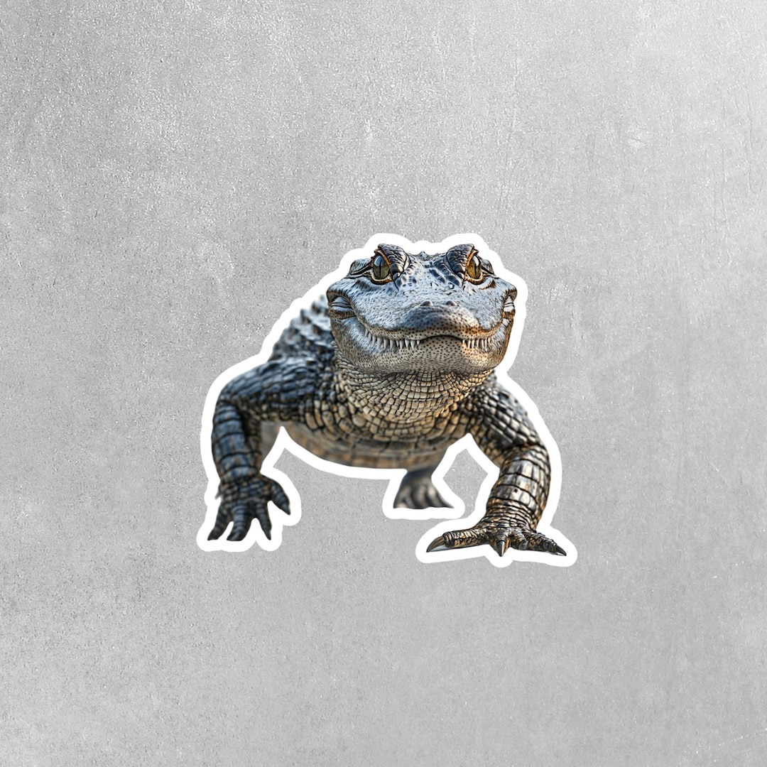 Alligator Sticker | Gator Decal for Cars, Laptops & Water Bottles | Fun ...