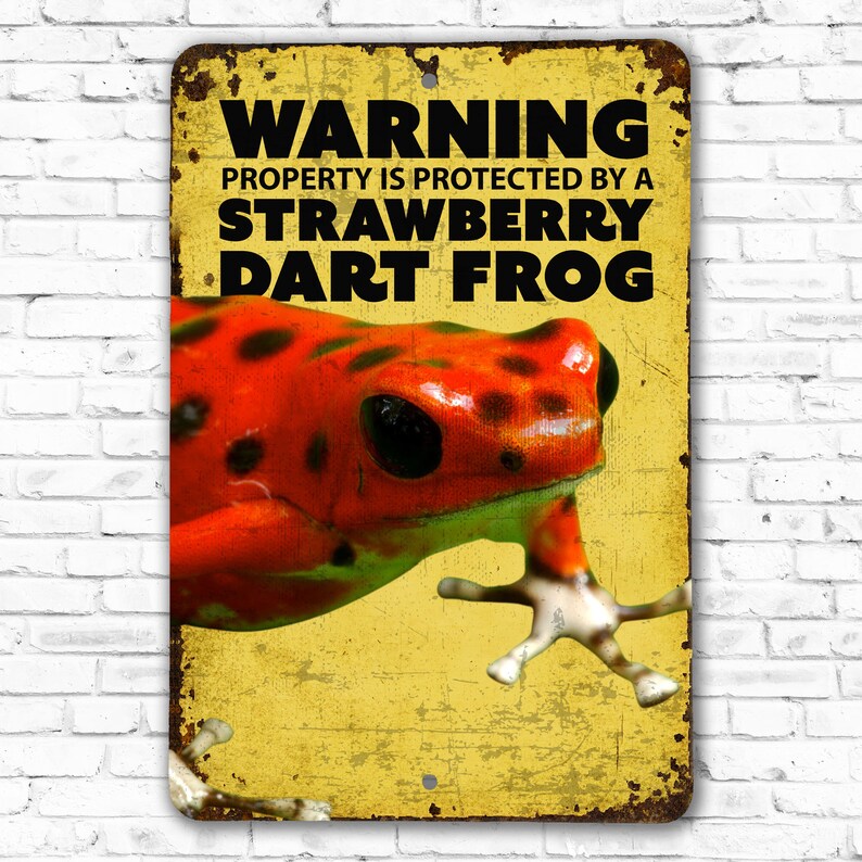 Warning Dart Frog Sign | Dart Frog Warning Sign | Dart Frog Sign - Etsy