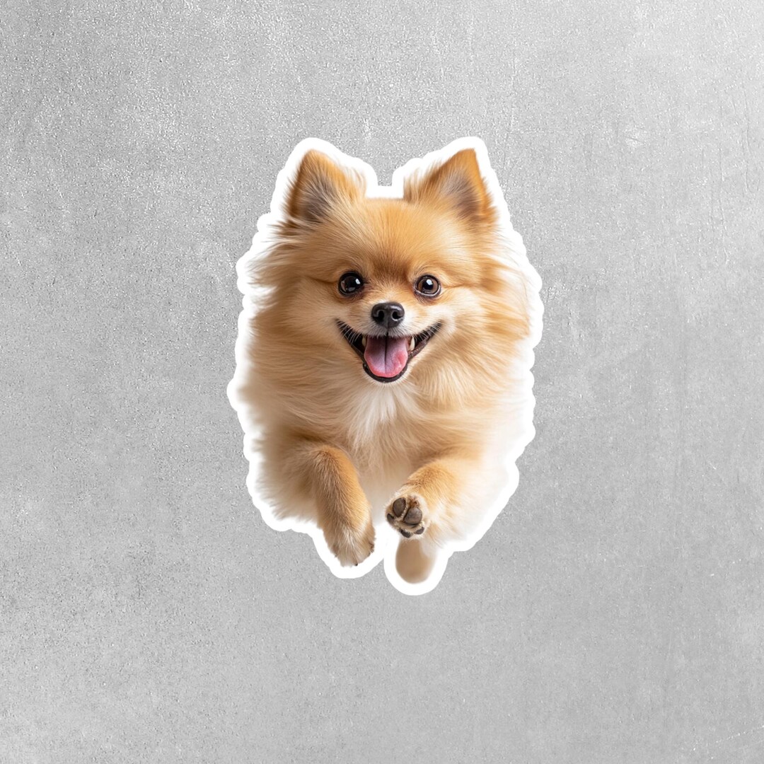 Pomeranian Running Sticker - Pomeranian Decal for Water Bottles, Car ...