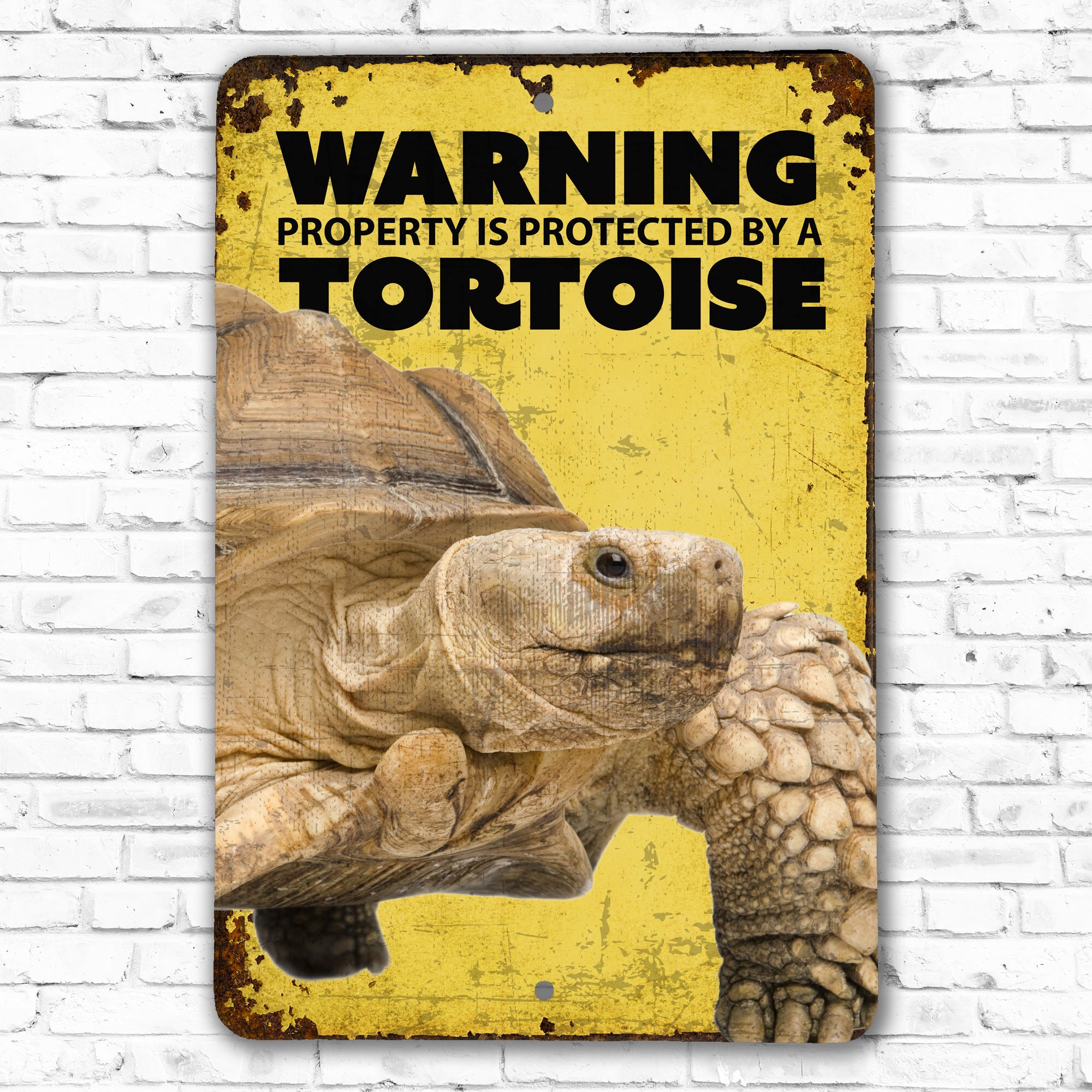Warning Tortoise Sign | Tortoise Warning Sign | Tortoise Sign - Etsy