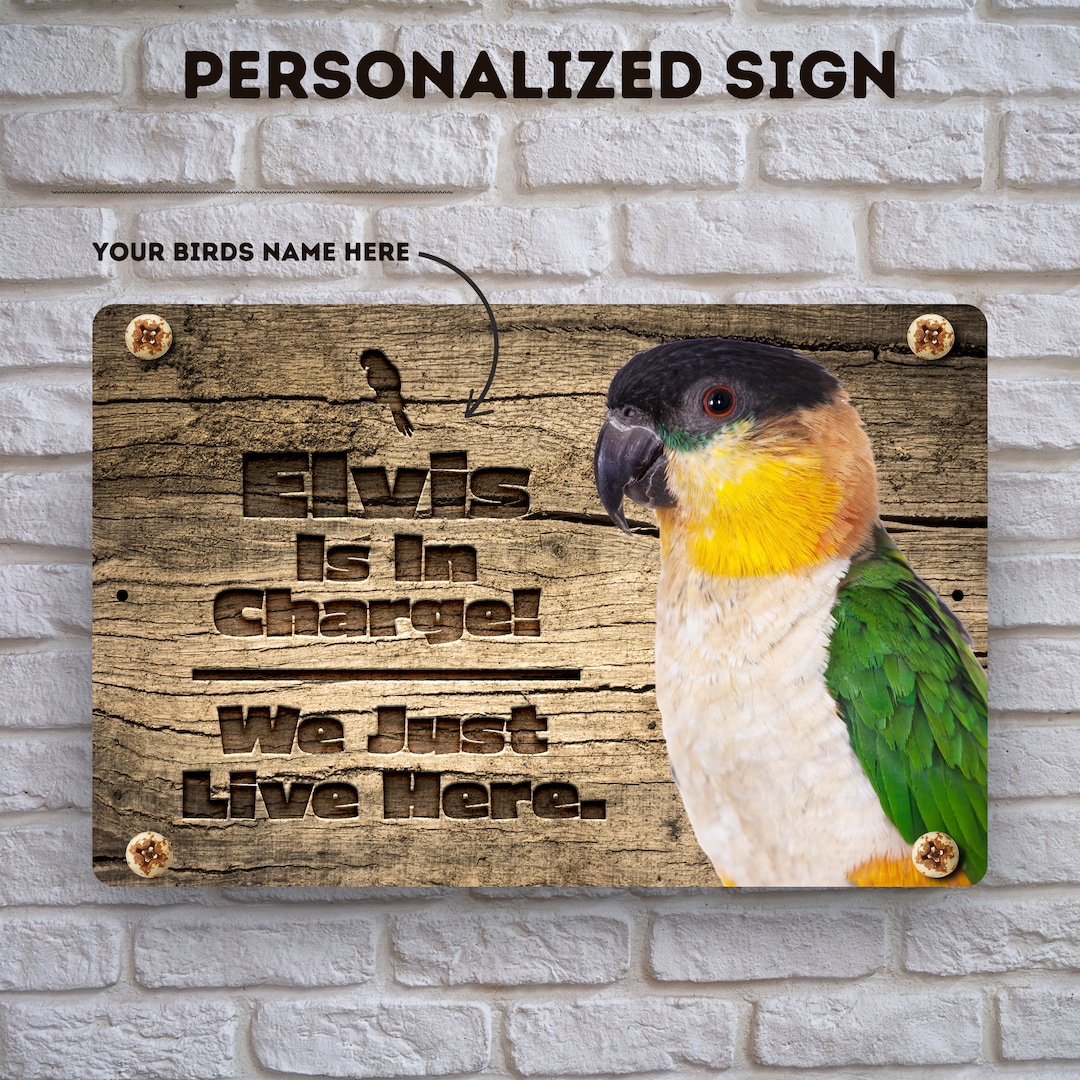Personalized Black Cap Caique Sign | Rustic Parrot Sign | Add Your ...