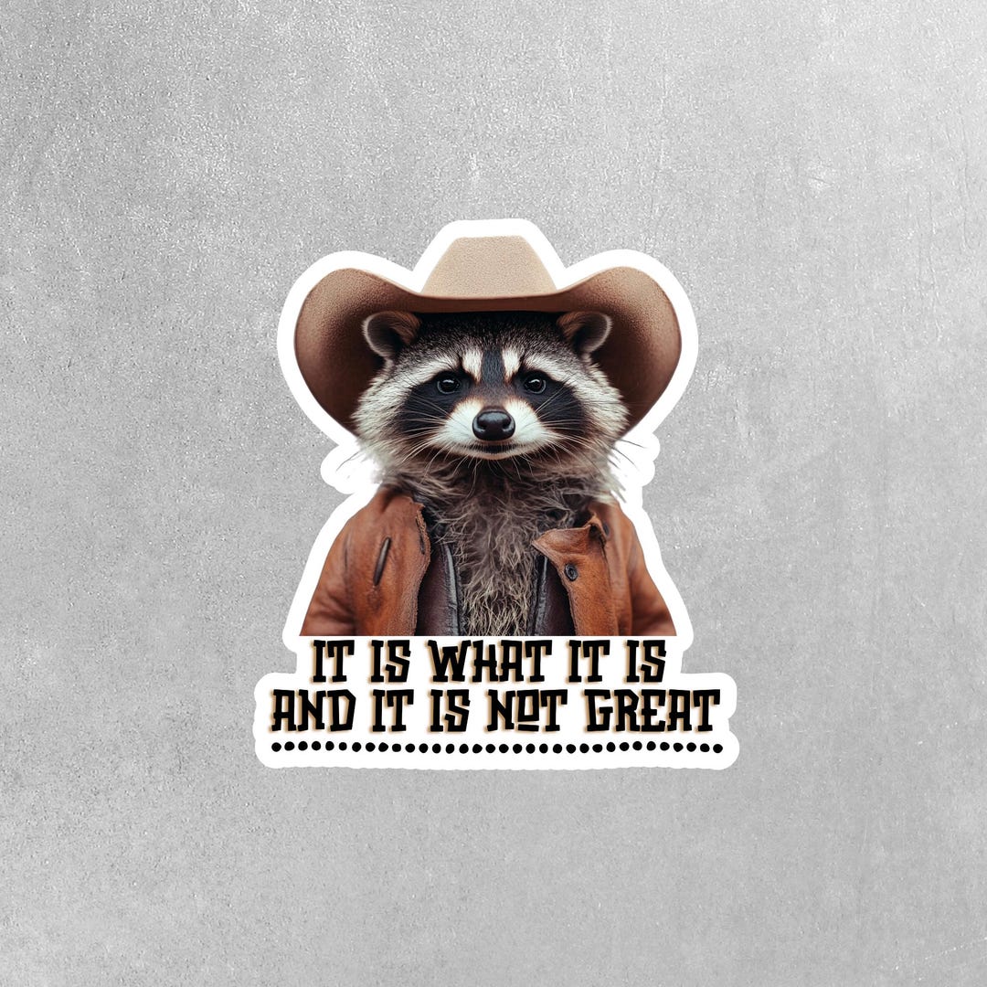 It is What It is Sticker - Funny Raccoon Meme Sticker - Cute Raccoon ...
