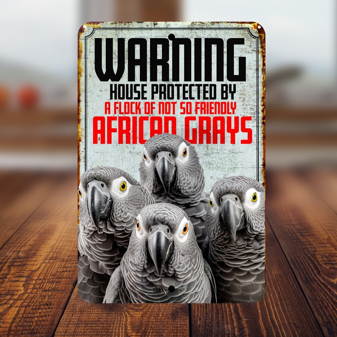 Funny African Gray Sign | Rustic African Gray Warning Sign | Group of ...