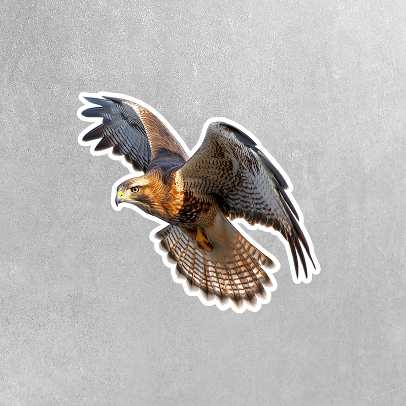 Hawk - Etsy