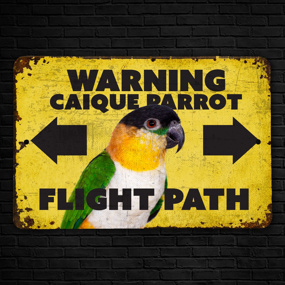 Warning Caique Parrot Flight Path Sign Caique Parrot Warning | Etsy