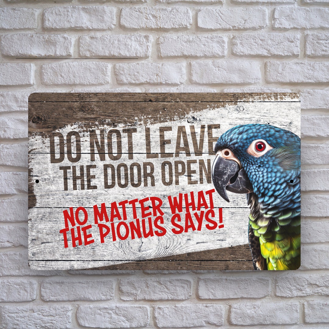 Pionus Parrot Sign | Funny Parrot Decor | Pionus Parrot Metal Sign - Etsy