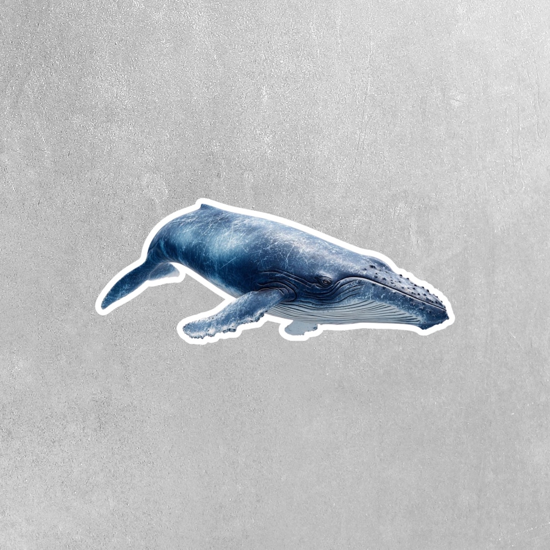 Blue Whale Sticker | Whale Sticker | Whale Decal - Etsy