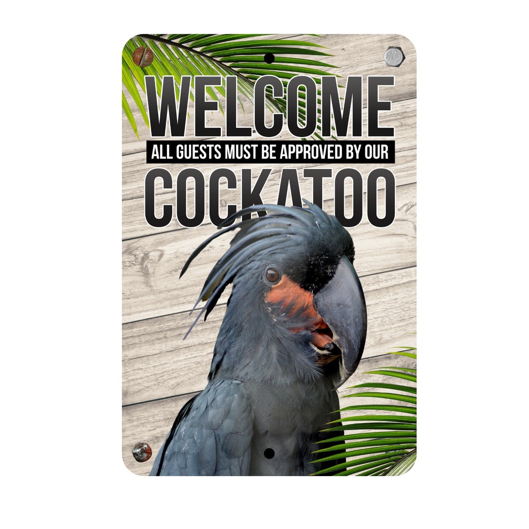 Palm Cockatoo Welcome Sign | Cockatoo Sign | Palm Cockatoo Parrot Sign ...