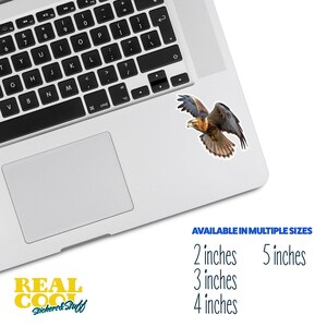 Hawk Sticker | Flying Hawk Decal for Car, Laptop & Wall | Bird of Prey ...