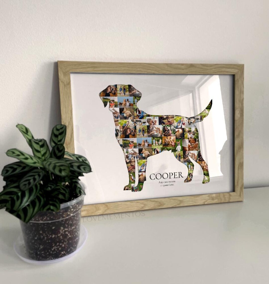 Labrador Retriever Photo Collage Custom, Chocolate Labrador, Brown ...