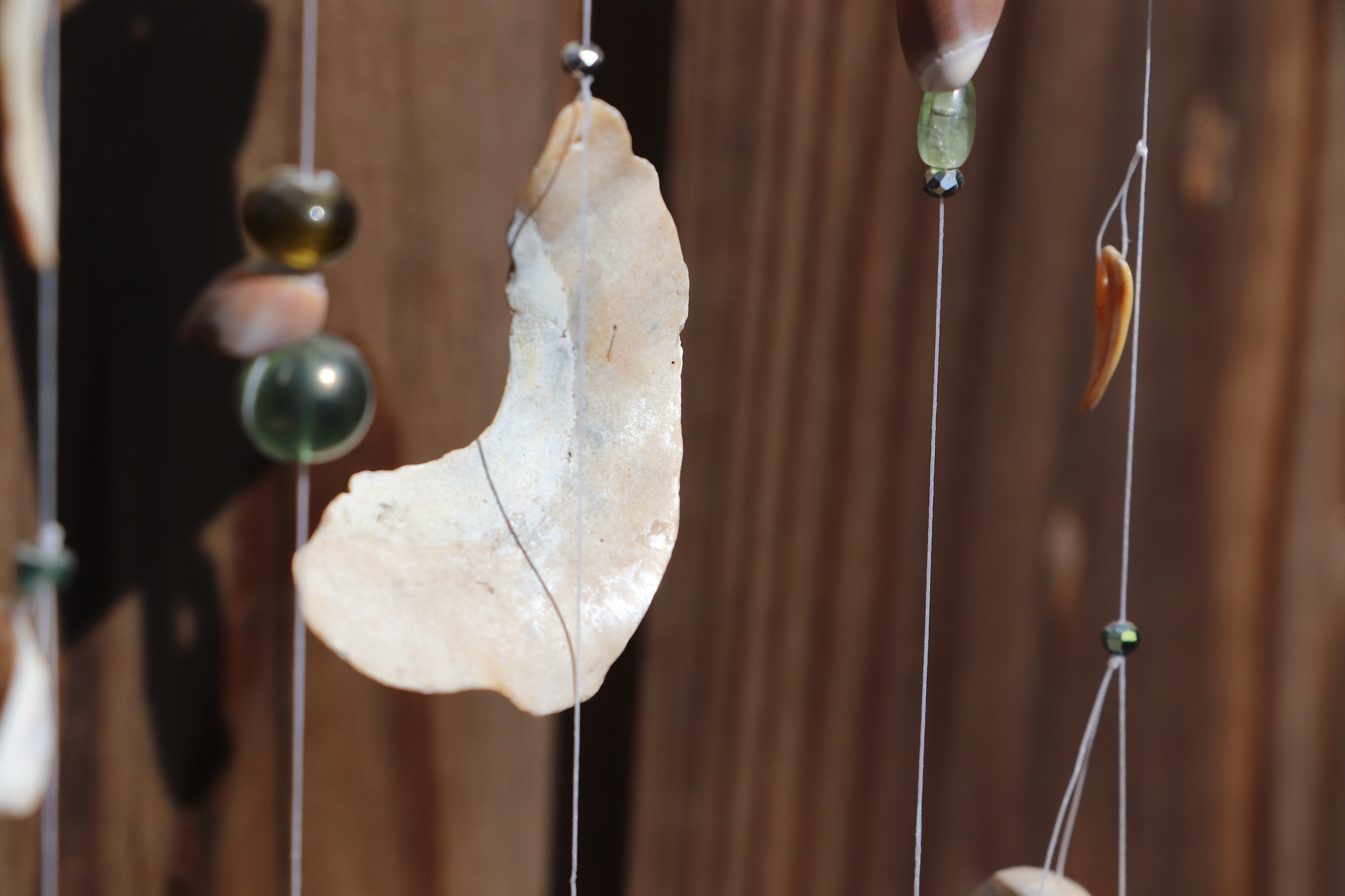Driftwood and Sea Shell Home Decor W/ Accent Semiprecious Accent Beads ...