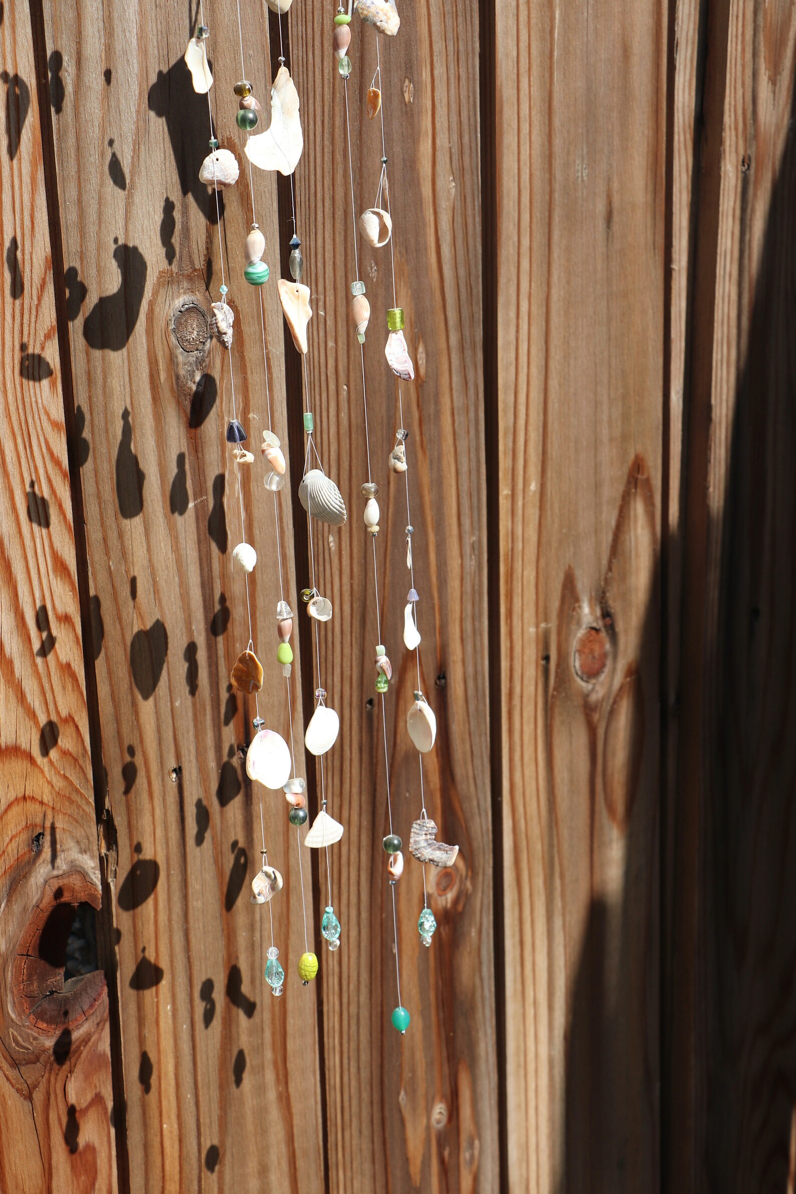 Driftwood and Sea Shell Home Decor W/ Accent Semiprecious Accent Beads ...