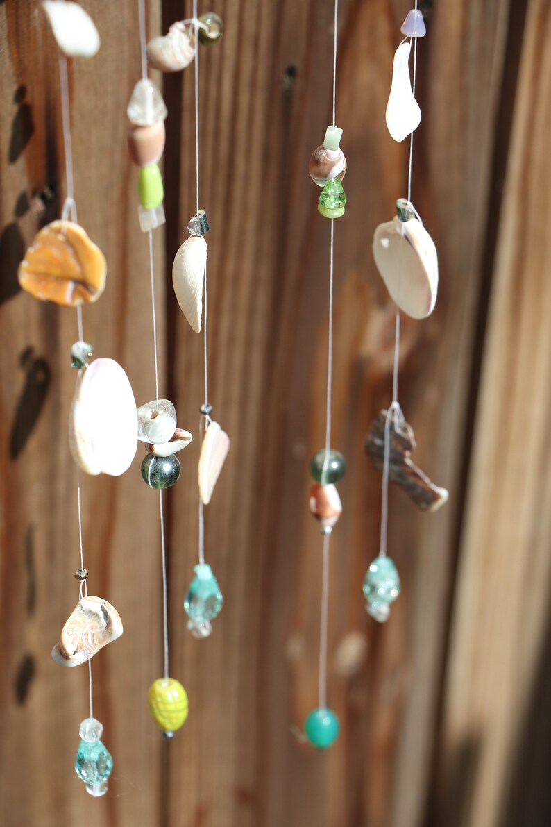 Driftwood and Sea Shell Home Decor W/ Accent Semiprecious Accent Beads ...
