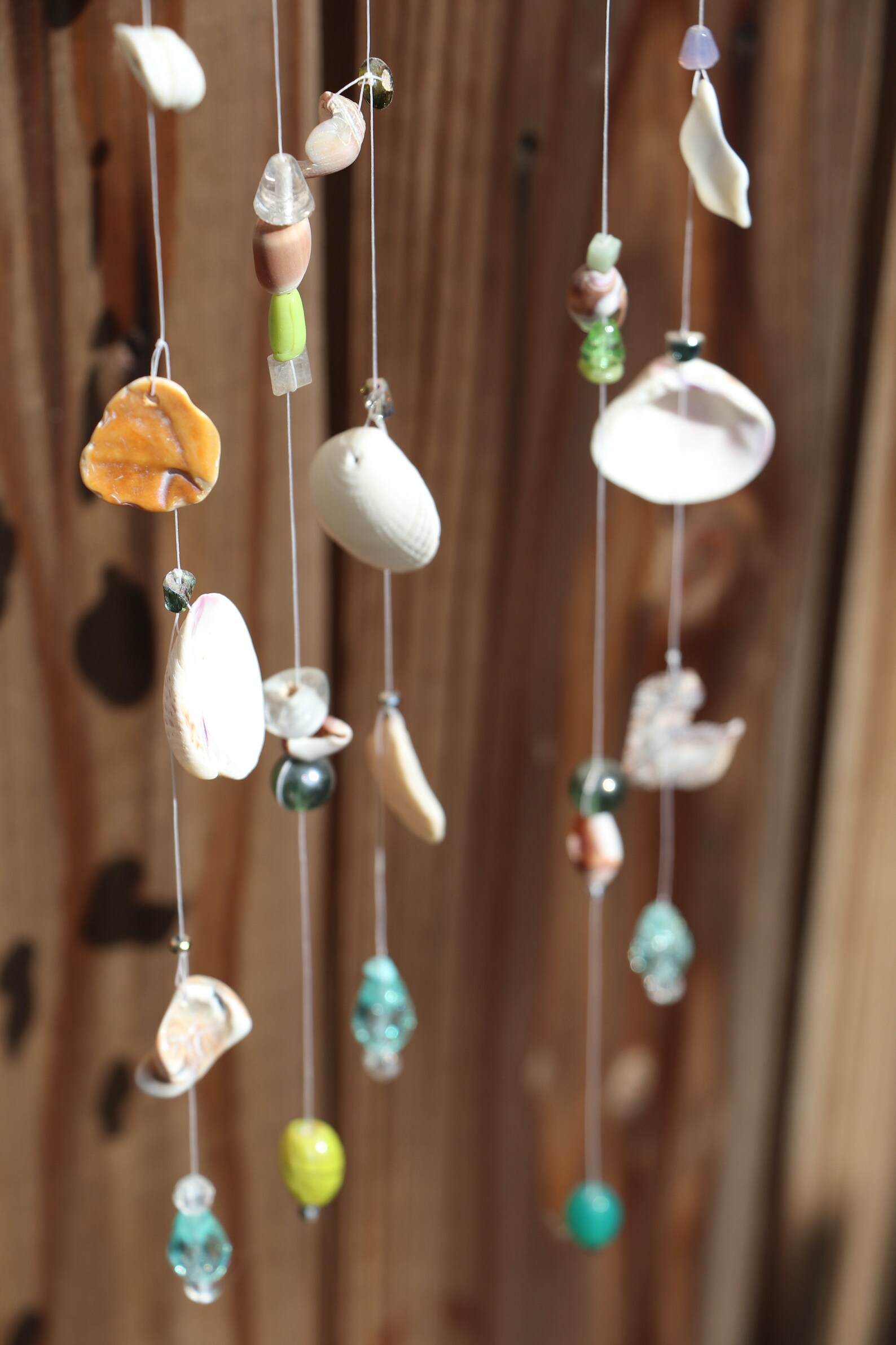 Driftwood and Sea Shell Home Decor W/ Accent Semiprecious Accent Beads ...
