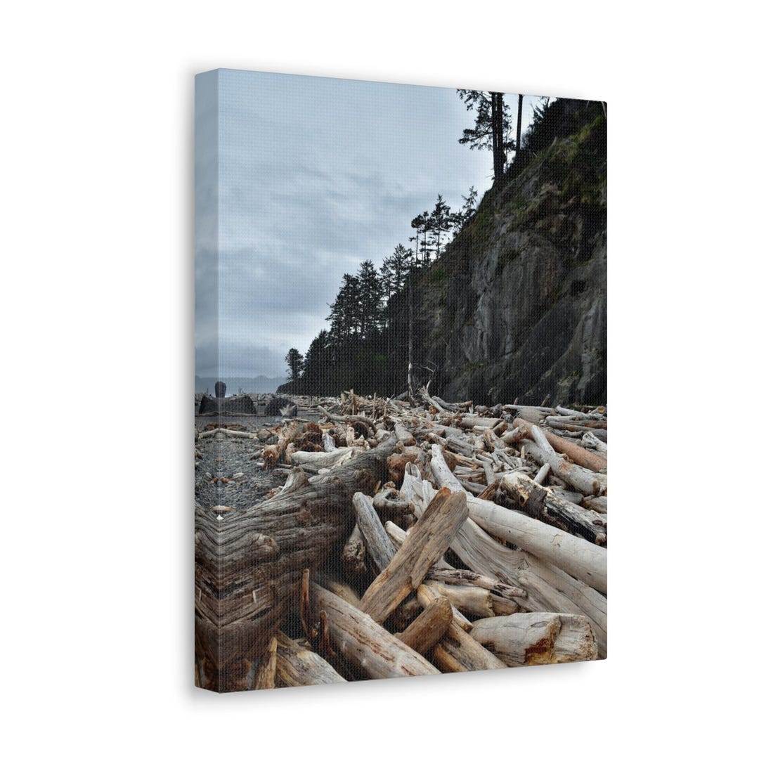 Ruby Beach Olympic National Park Washington Coastal Decor, Moody Skies ...