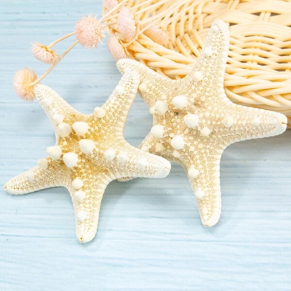 Starfish Decor - Etsy