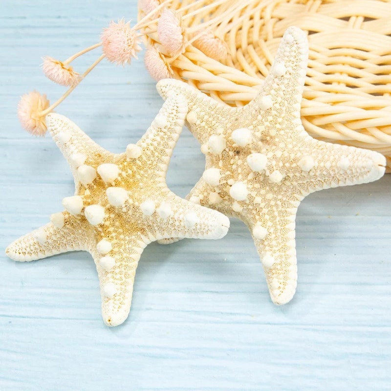 Starfish Home Decor - Etsy