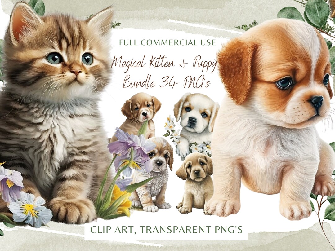 Watercolor Kitten and Puppy Clipart 34 Pack Bundle: Cute and Adorable ...
