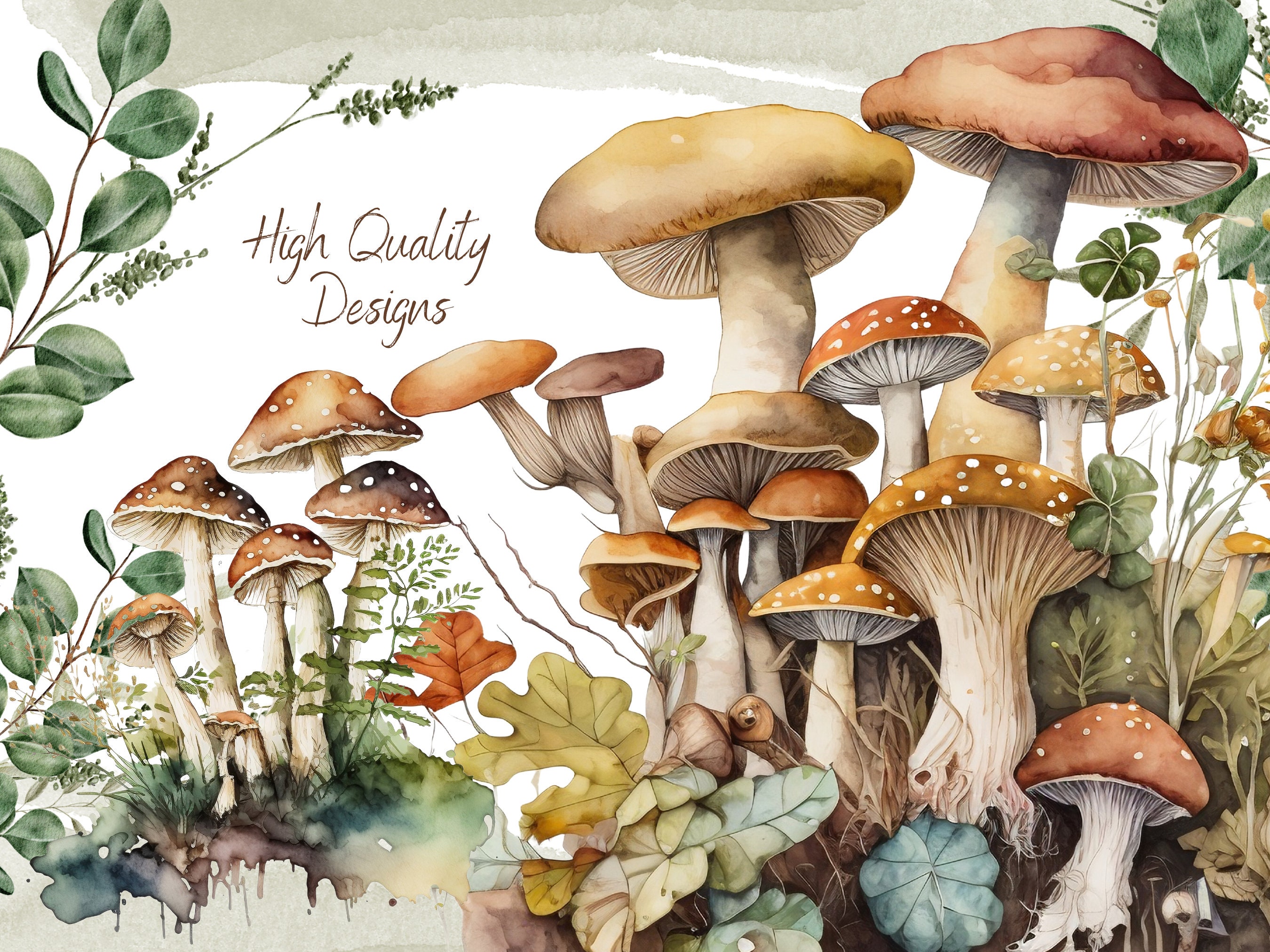 Enchanted Forest Watercolor Group Mushroom Clipart Woodland Nature Art ...