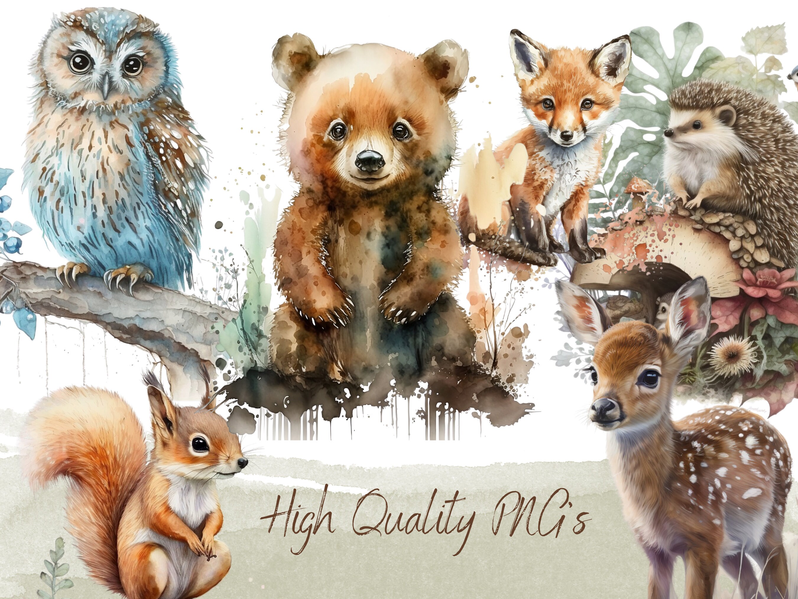 Baby Animals Png Set 6 Stunning Illustrations of Cute Woodland ...
