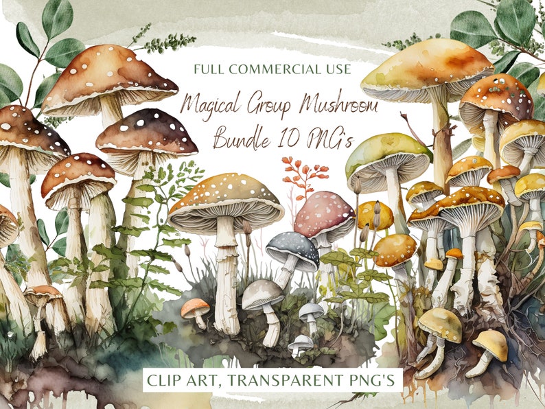 Enchanted Forest Watercolor Group Mushroom Clipart Woodland Nature Art ...