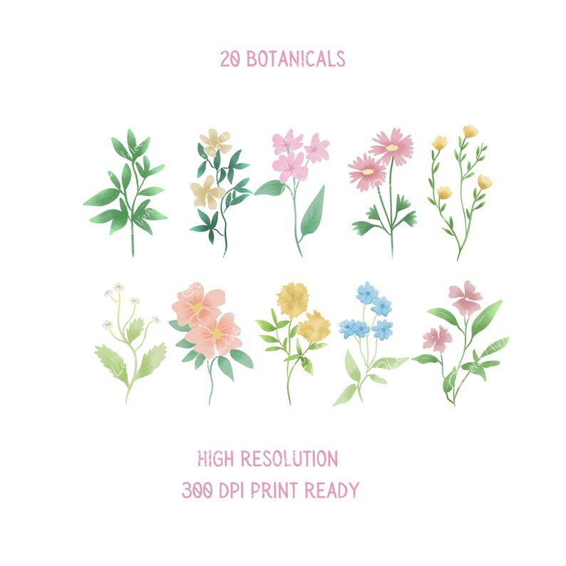 Grandmillennial Botanical Watercolor Clipart Bundle, Vintage Floral PNG ...