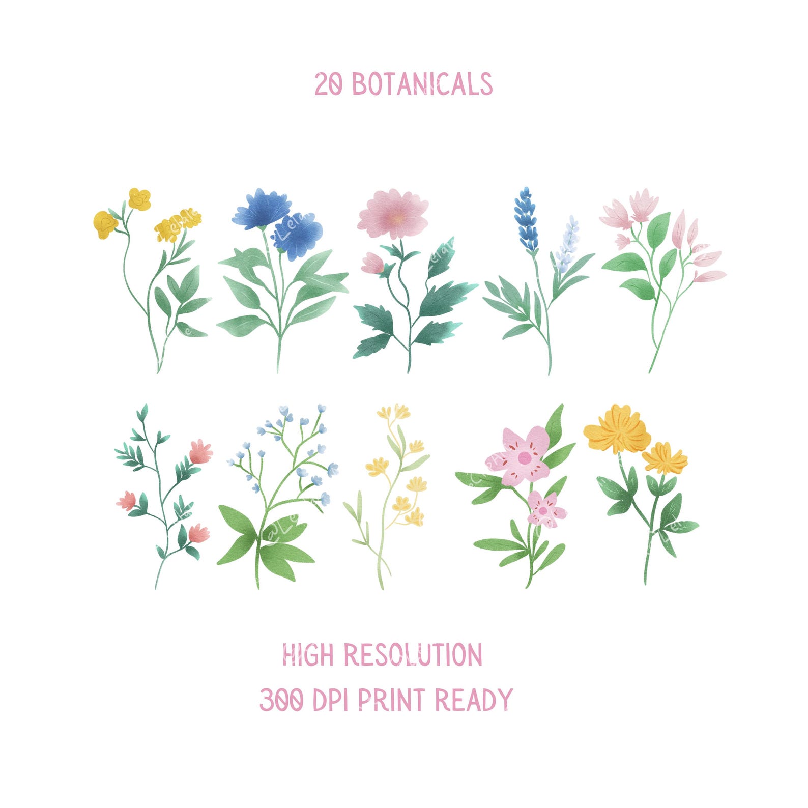 Grandmillennial Botanical Watercolor Clipart Bundle, Vintage Floral PNG ...