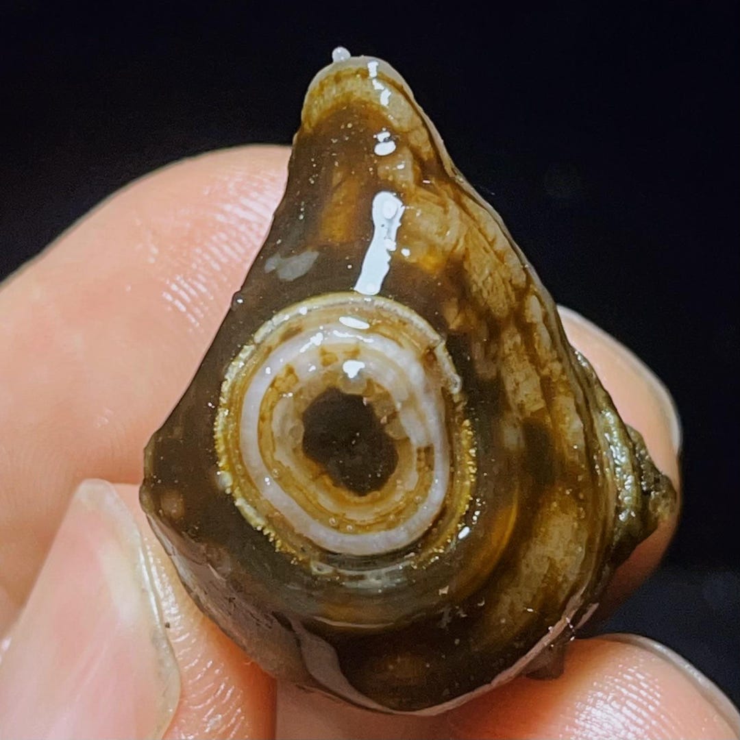 Natural Gobi Agate Stone: Healing Energy Gift - Etsy