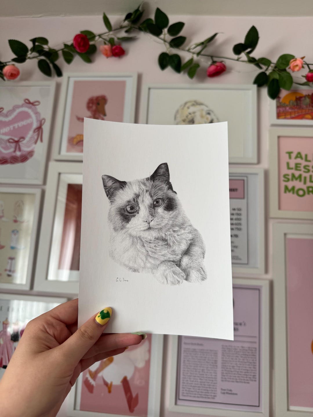Benjamin Button (taylor Swift’s Cat) Ragdoll Cat Art Print - Etsy