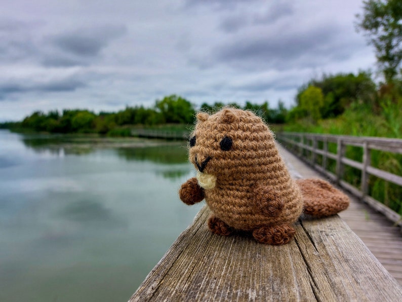 Beaver Amigurumi Crochet Pattern - Etsy