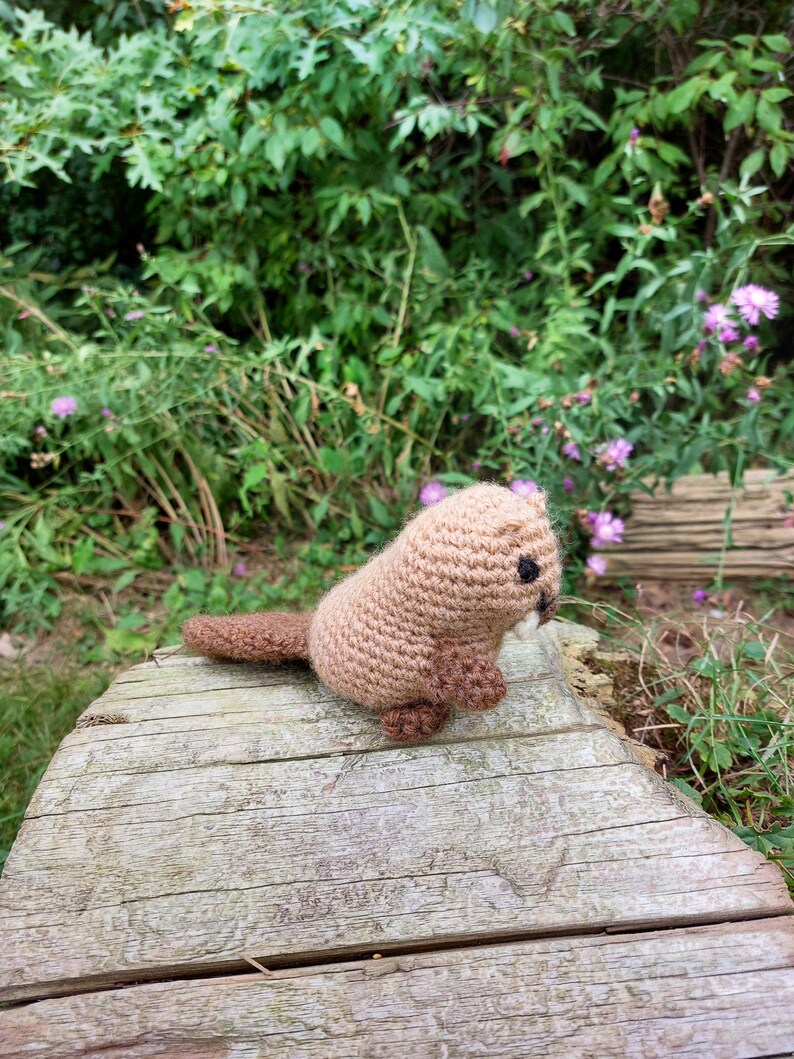 Beaver Amigurumi Crochet Pattern - Etsy