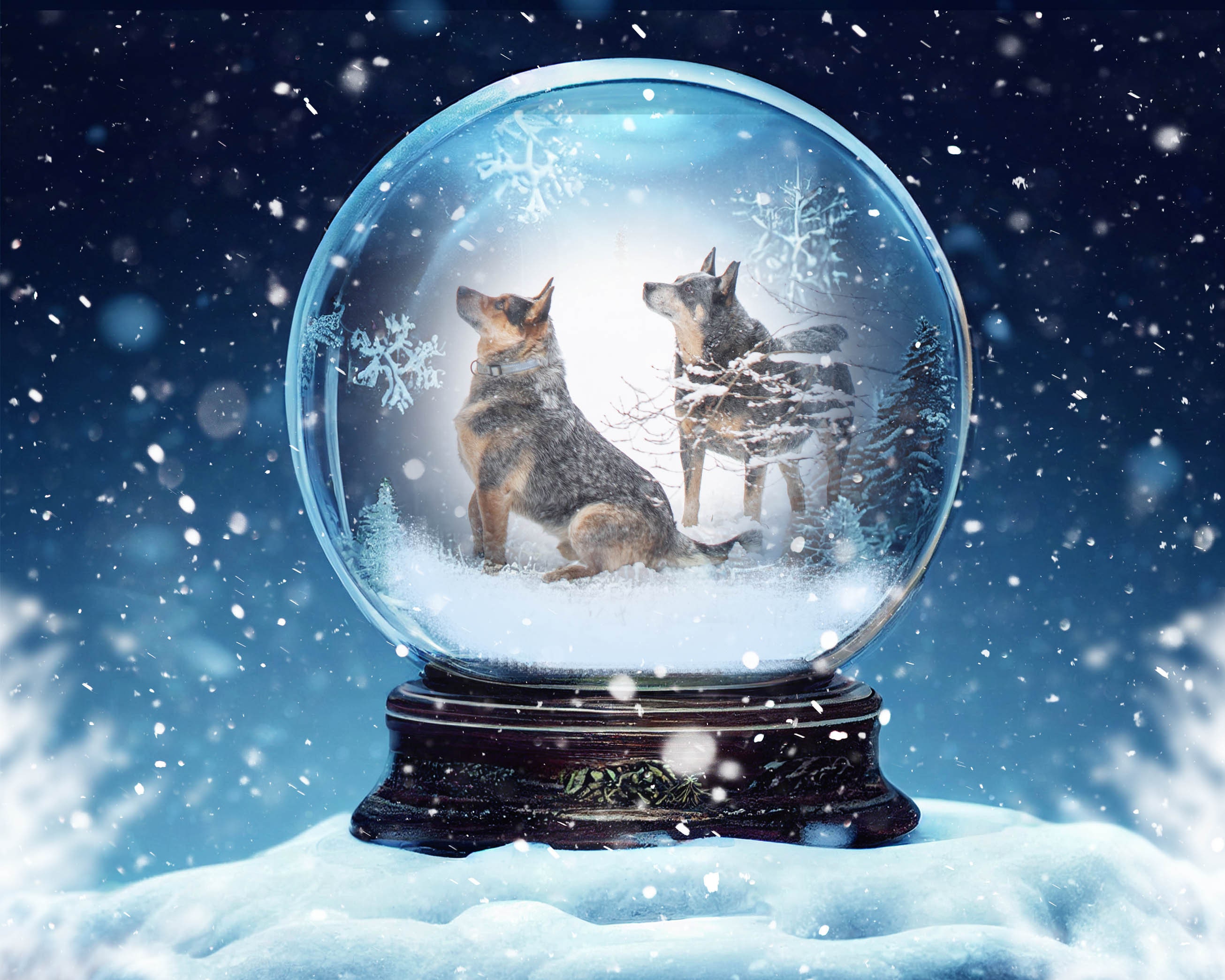 Snowglobe Background, Digital Backdrop, PSD Backdrop, Christmas ...