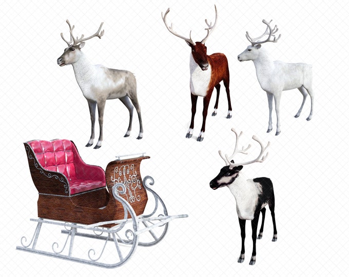 Pool Background Sports Backdrop Senior Backdrop Swim Team - Etsy