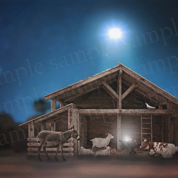 Nativity Scene Backdrops - Etsy