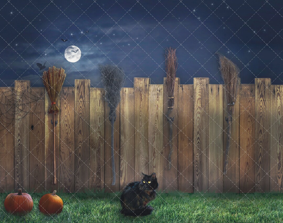 Witch Backdrop, Halloween Background, Black Cat, Witch Backdrop ...