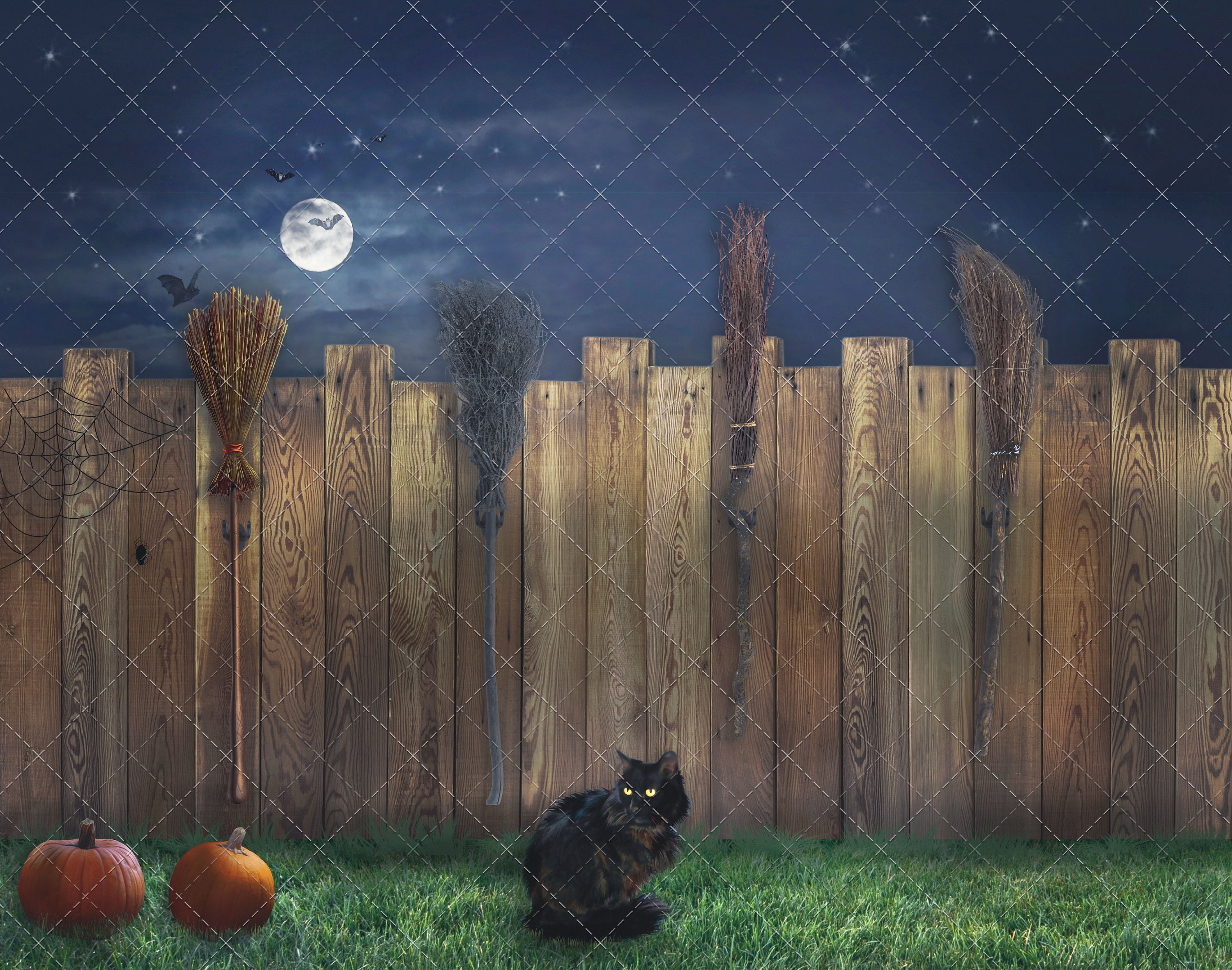 Witch Backdrop, Halloween Background, Black Cat, Witch Backdrop ...