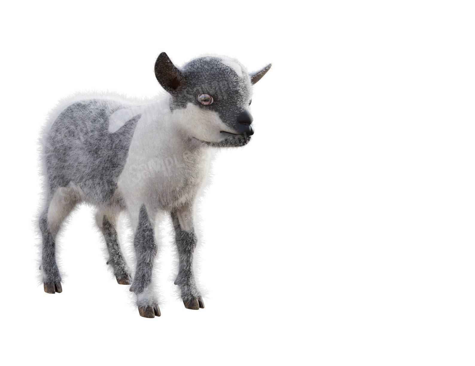 Baby Goat Overlays, Digital Overlays of Five Cute Baby Goats, Black ...