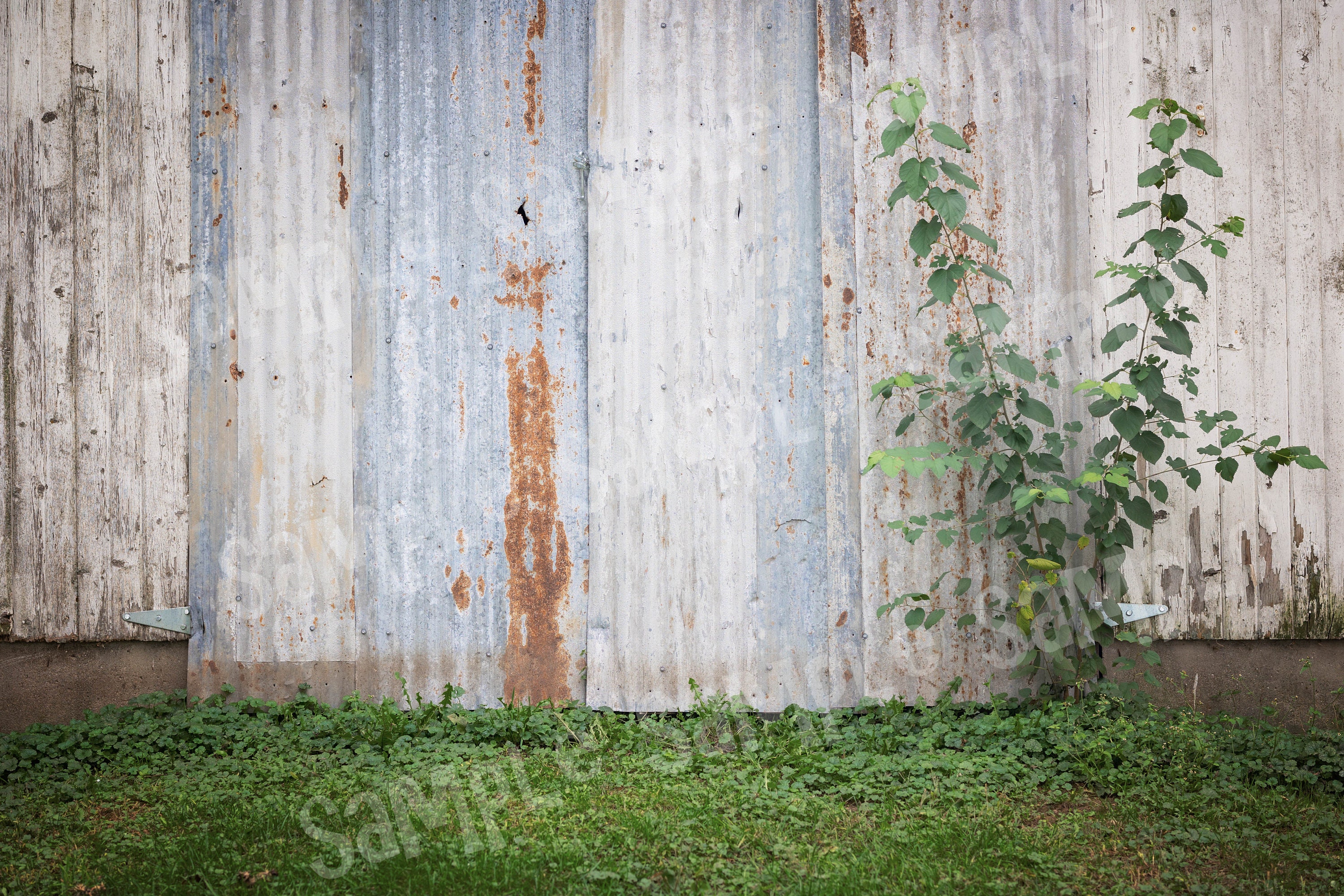 Door Backdrop, Barn Backdrop, Tin Door Background, Rustic Backdrop ...