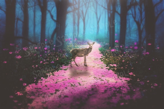 Forest Backdrop Deer Backdrop Digital Download Photography - Etsy