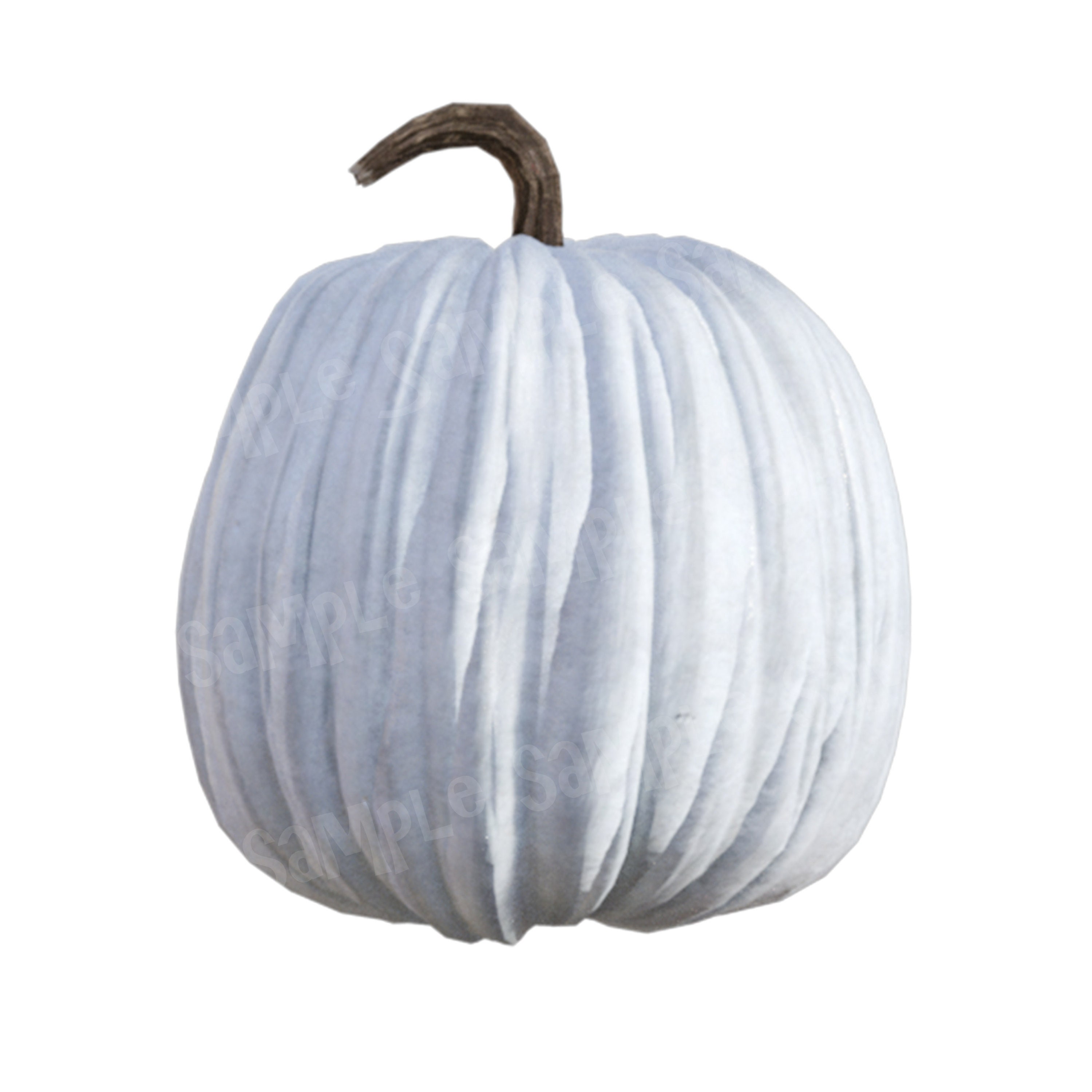 Pumpkin Overlay Gourd Overlay Png Overlays Digital - Etsy